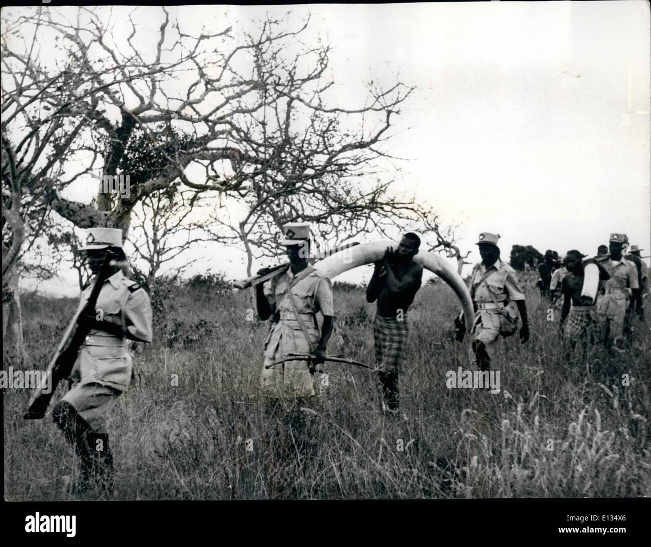 Feb. 28, 2012 - Game wardens make poachers carry heavy burden of ivory ...