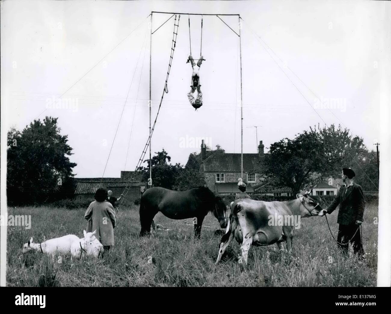 High trapeze act in faryyard hi-res stock photography and images - Alamy