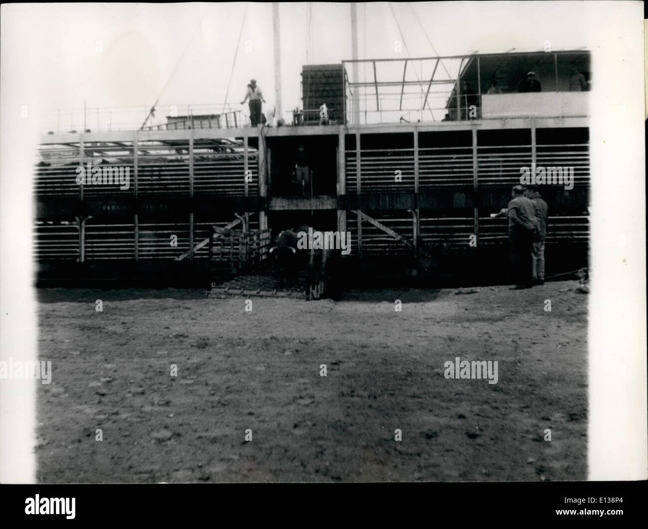 Cattle ships hi-res stock photography and images - Alamy