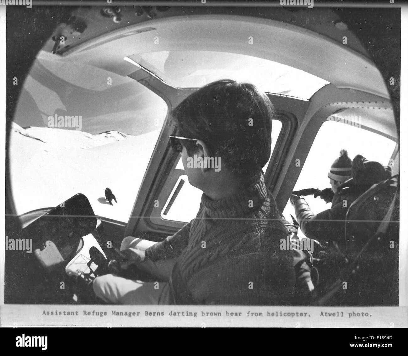 This 1972 image, taken with a fish-eye lens, captures a bear darting in ...