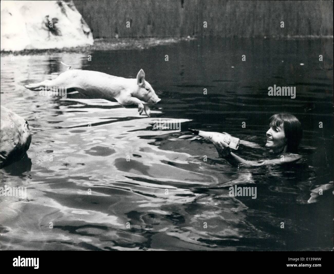 Crush at springs hi-res stock photography and images - Alamy