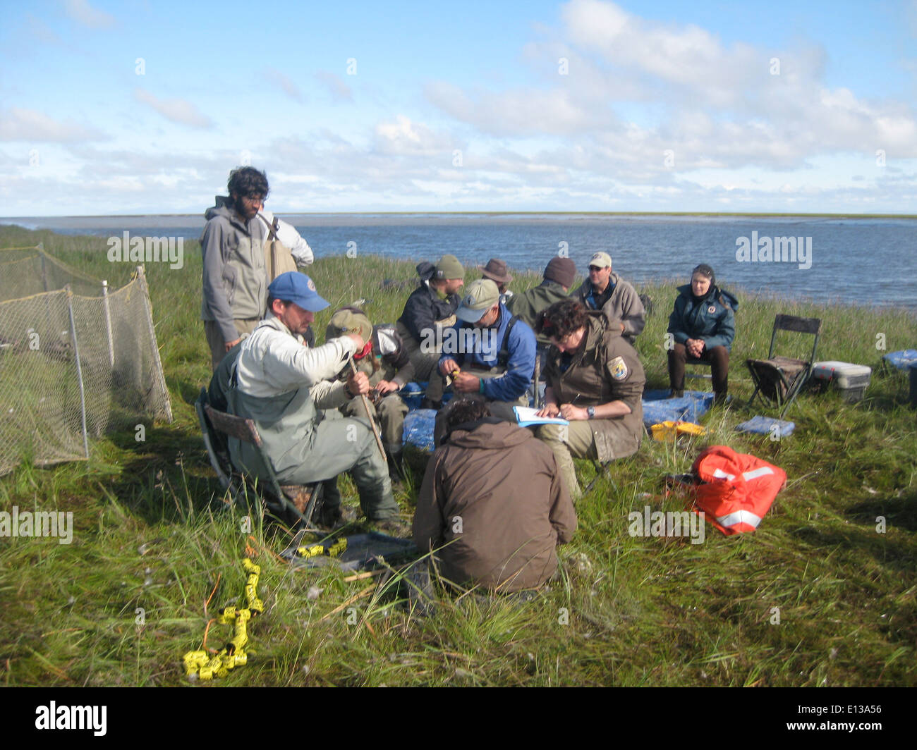 Banding together hi-res stock photography and images - Alamy