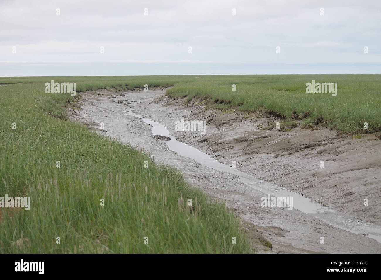 Tidal slough hi-res stock photography and images - Alamy