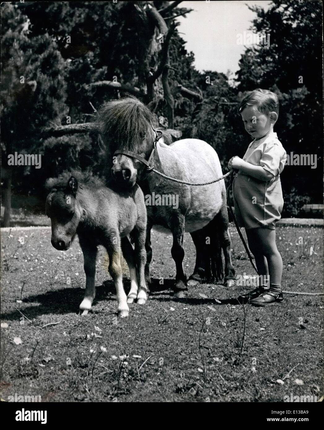 Cunningly hi-res stock photography and images - Alamy