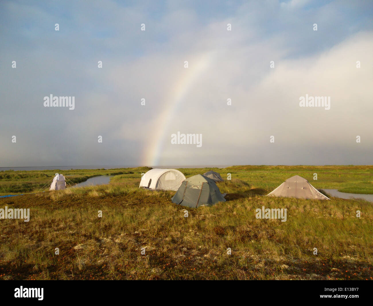 A pre-season duck banding camp, where biologists band ducks for ...