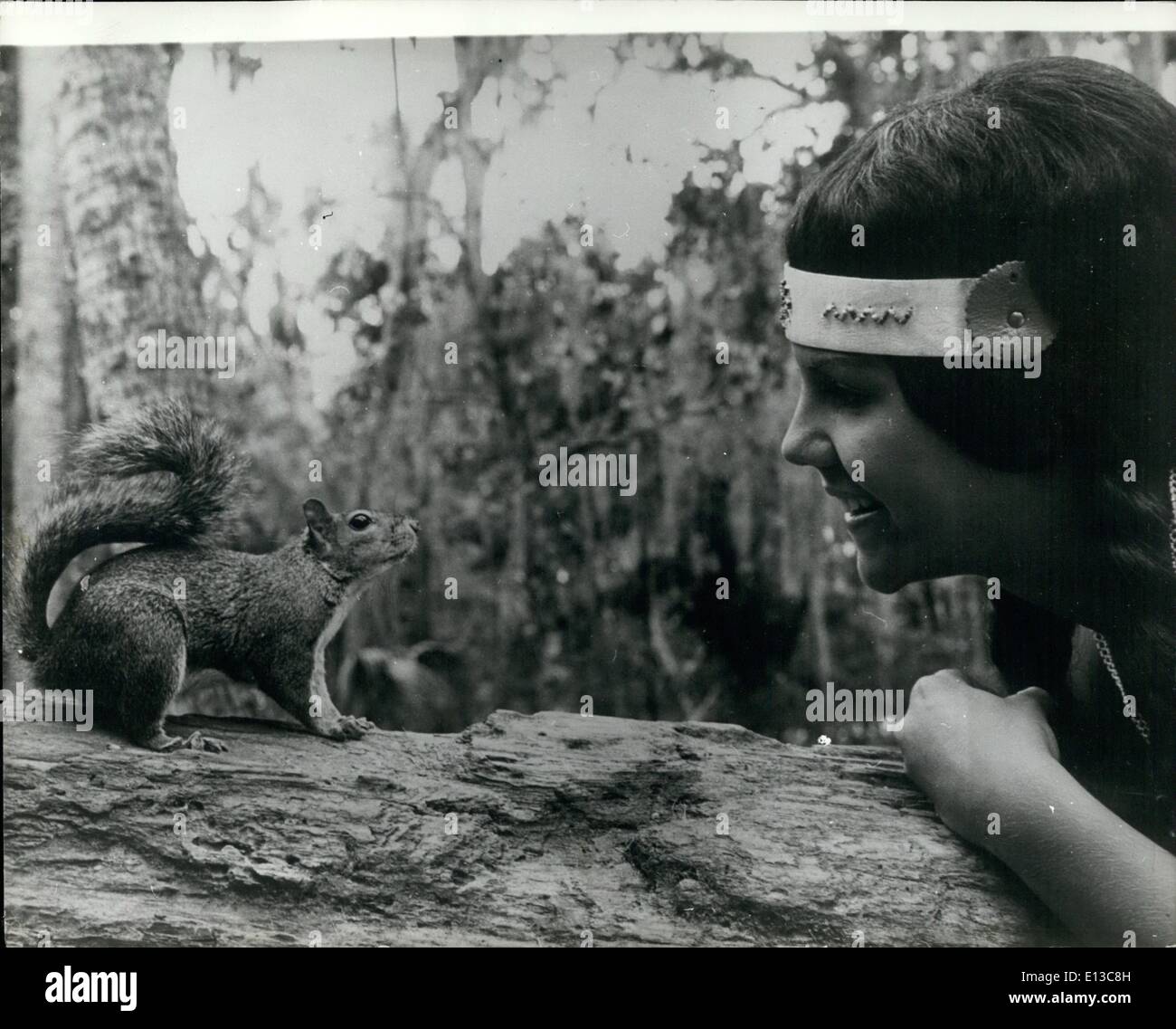 Sammy the squirrel hi-res stock photography and images - Alamy