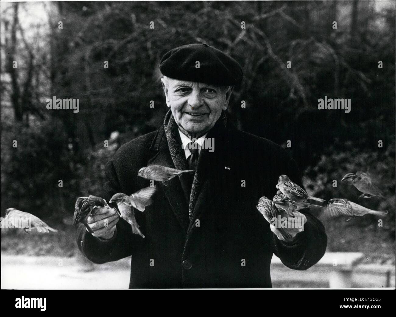 Birds in cities hi-res stock photography and images - Alamy