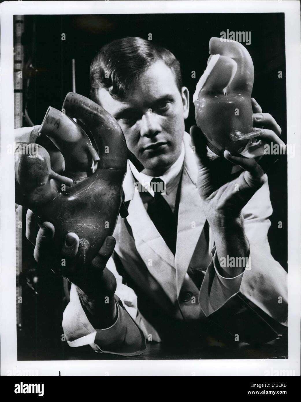 Human life size hi-res stock photography and images - Alamy