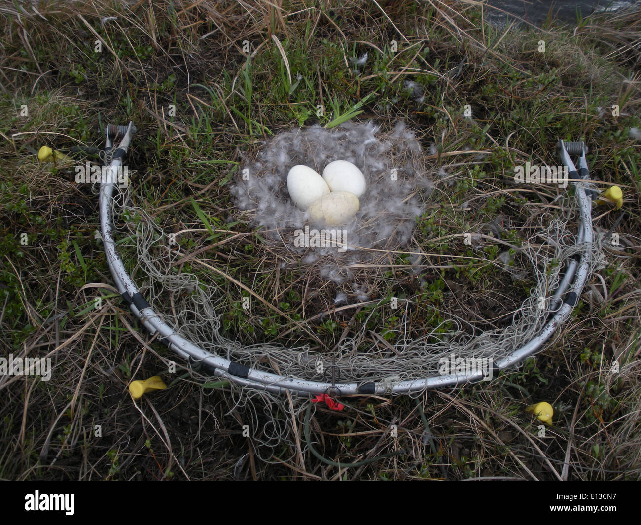 Data recovery method hi-res stock photography and images - Alamy