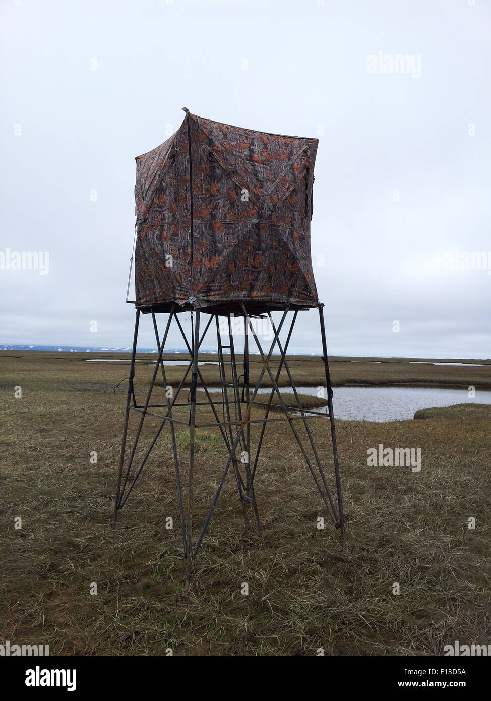 Datacollection hi-res stock photography and images - Alamy