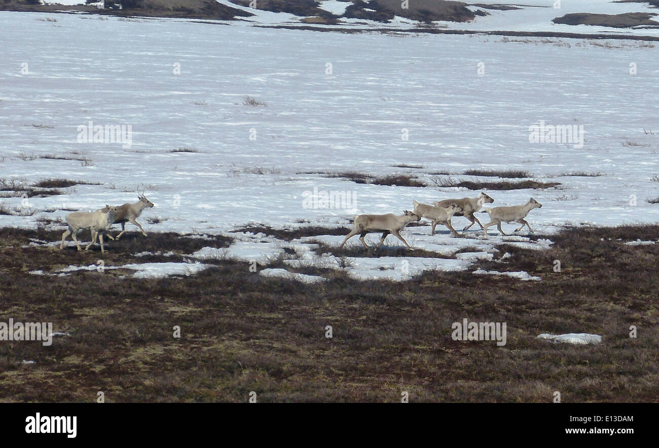 Kilbuck hi-res stock photography and images - Alamy