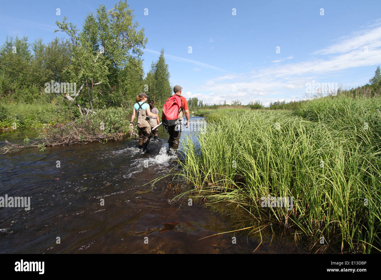 The anchorage office hi-res stock photography and images - Alamy