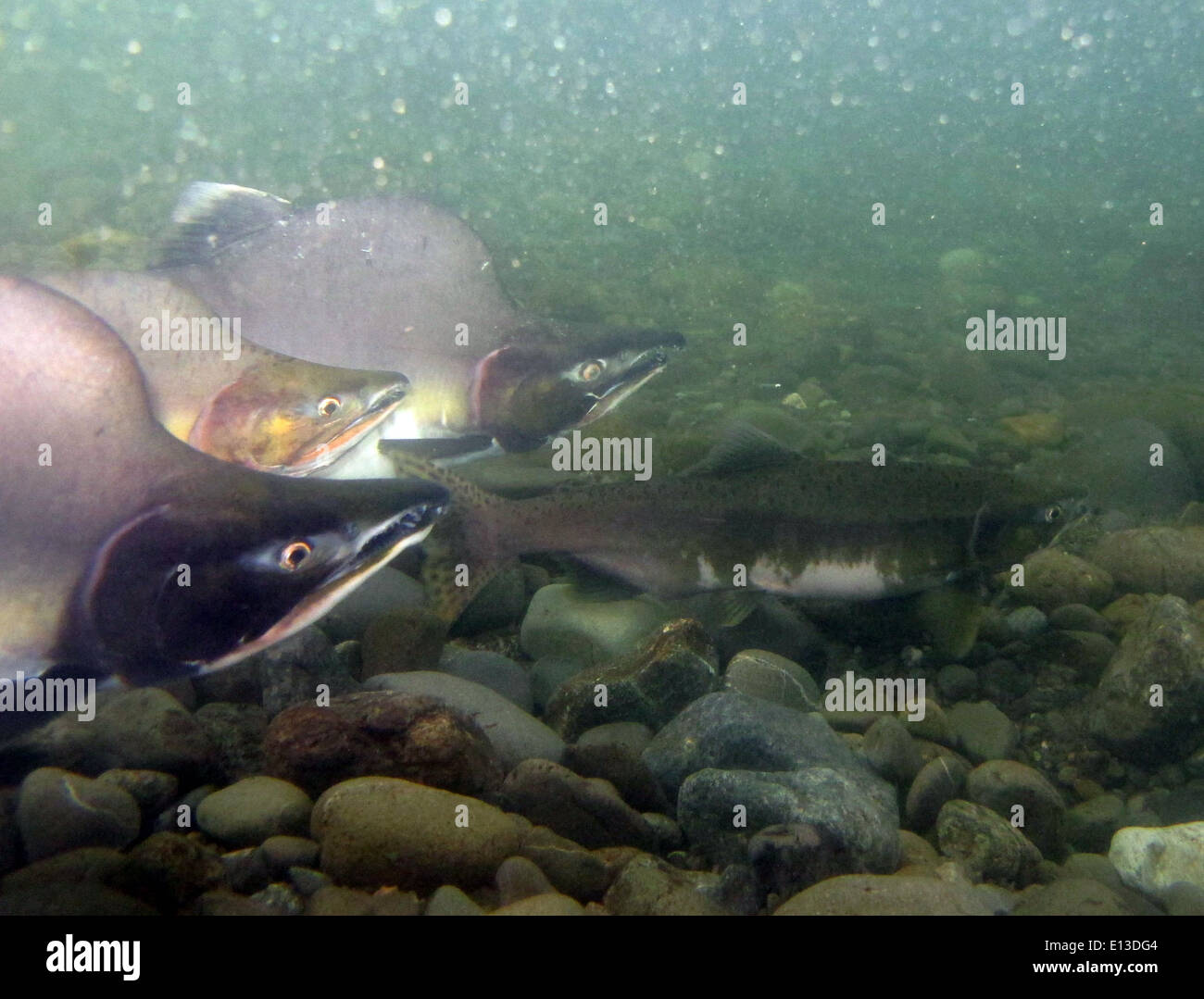 Three’s company hi-res stock photography and images - Alamy