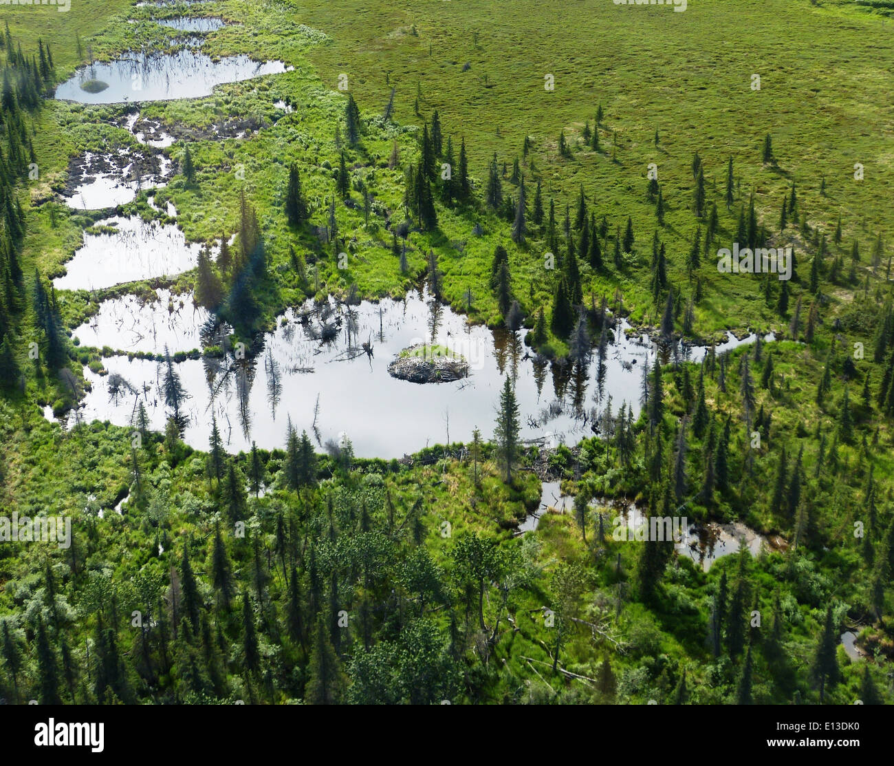 The Yukon Delta National Wildlife Refuge (NWR) wetlands in Alaska are ...
