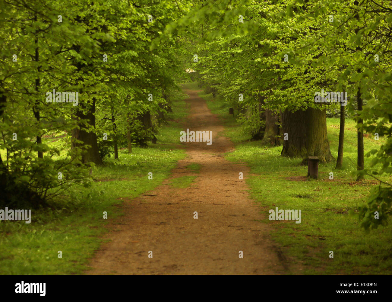 Bosom of nature hi-res stock photography and images - Alamy