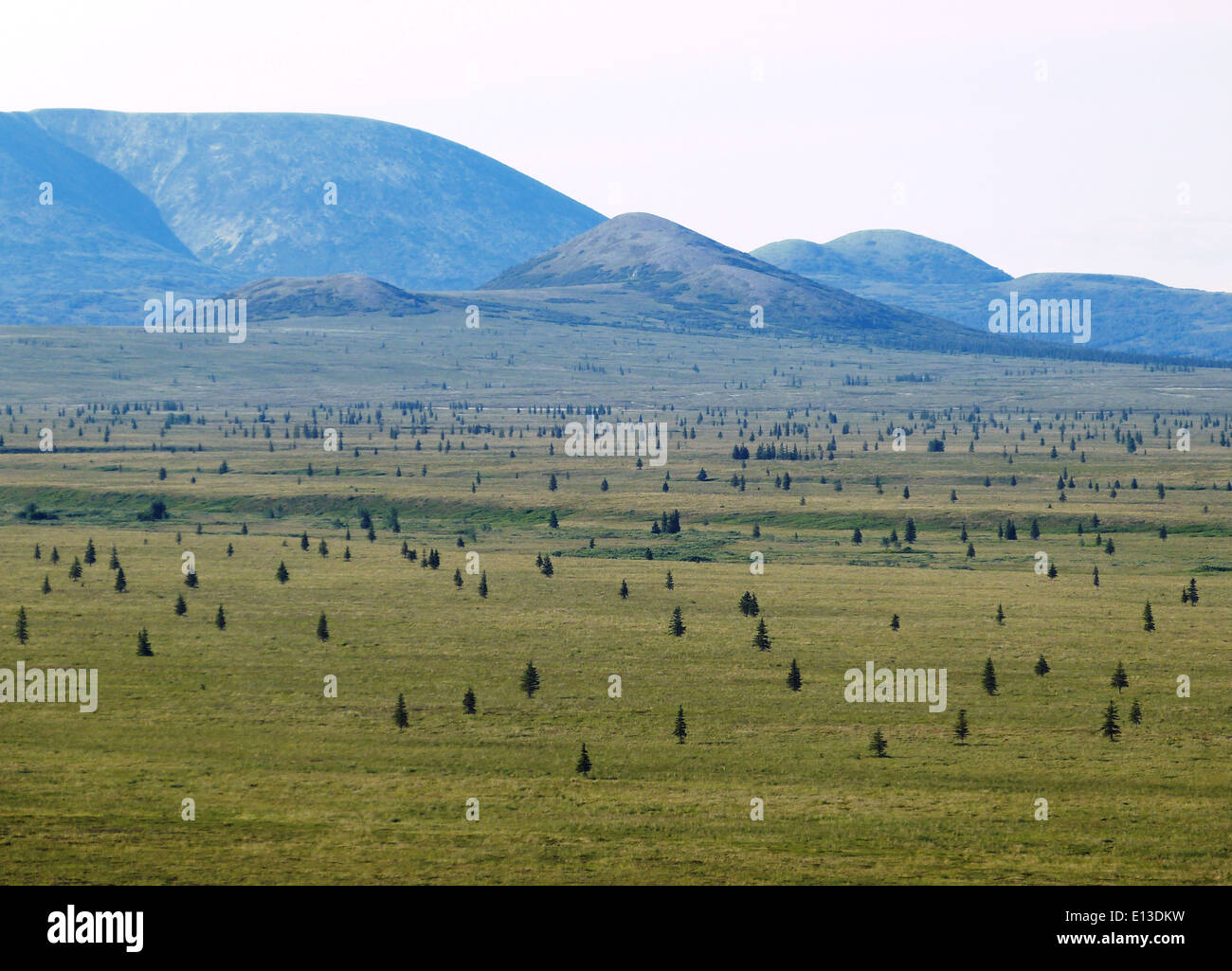 The boreal transition zone in the Yukon Delta National Wildlife Refuge ...