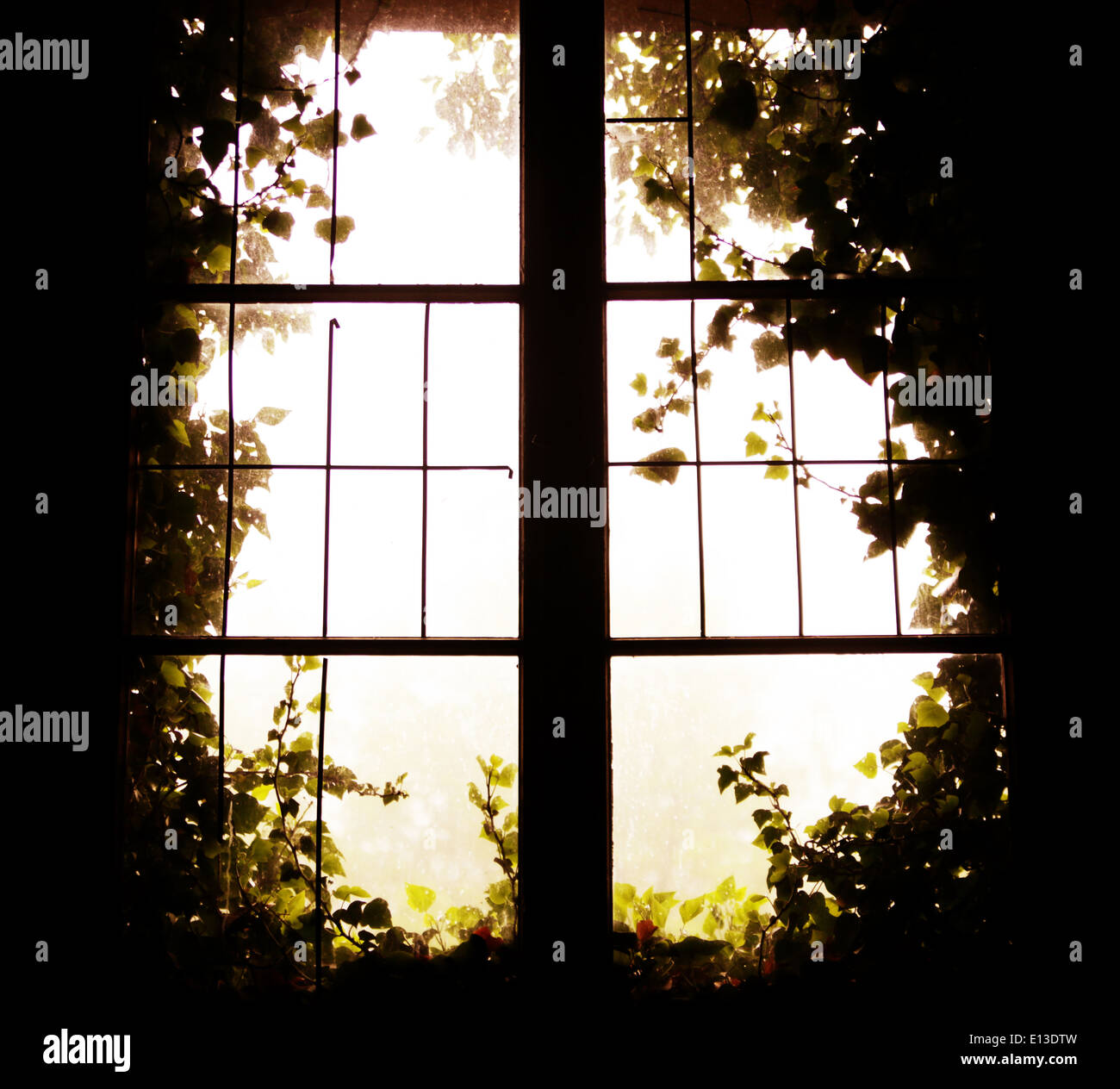 Photo of the window to the wild nature Stock Photo - Alamy