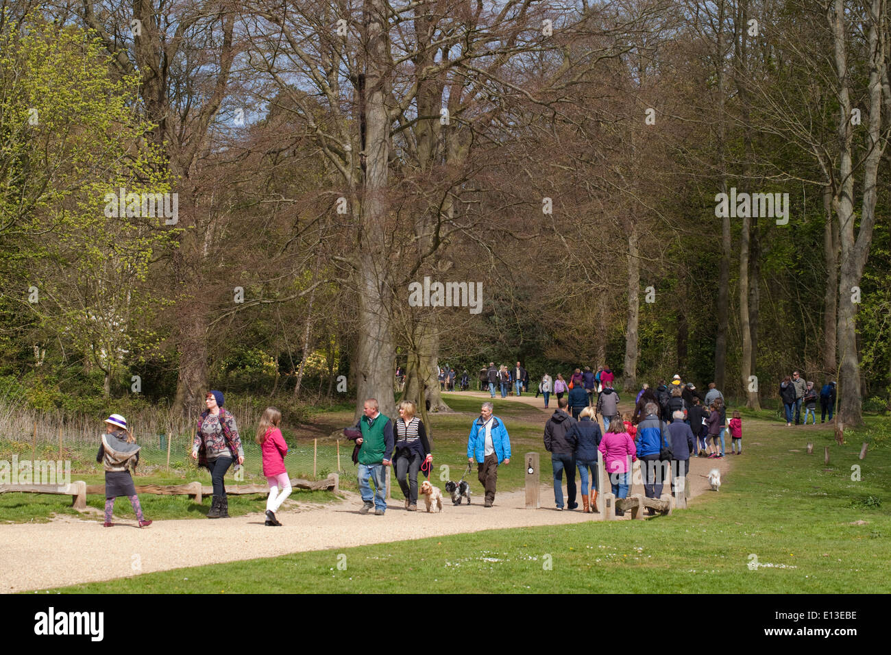 Spring Walk. Sheringham Park. Norfolk Stock Photo - Alamy