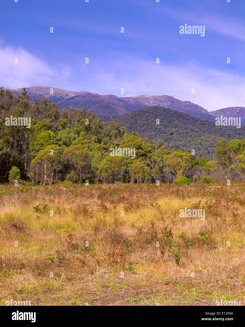 Snowy mountains summer australia hi-res stock photography and images ...