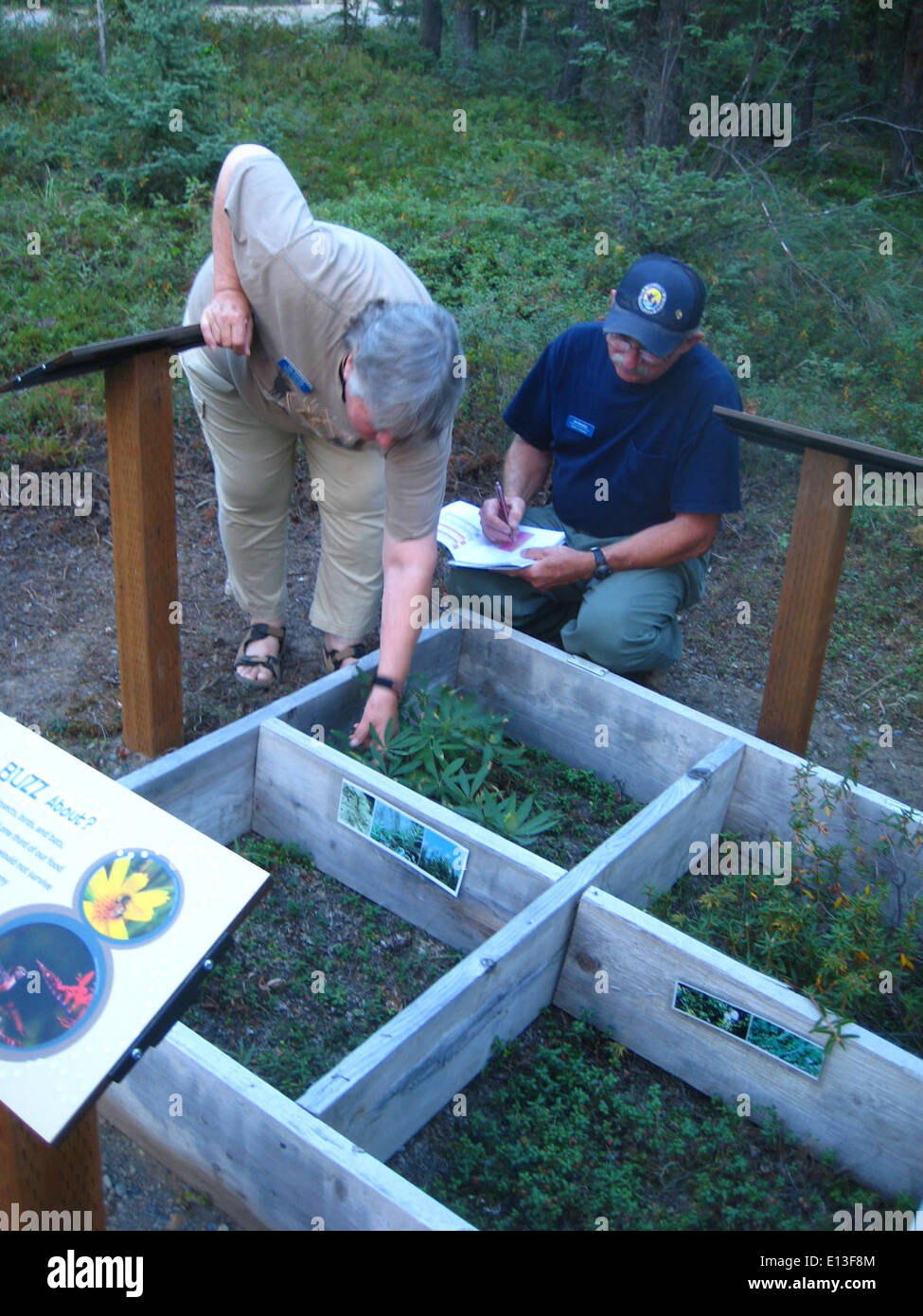 Tetlin hi-res stock photography and images - Alamy