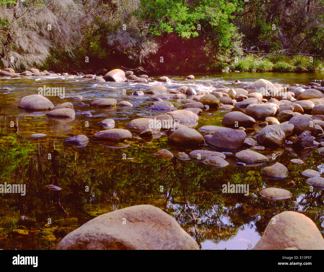 Swampy plains creek hi-res stock photography and images - Alamy