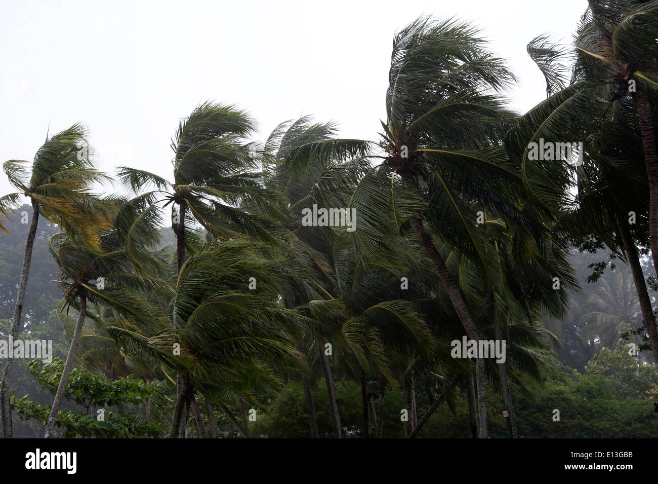 Monsoon rain on Batu Feringgi Beach, Penang Island, Malaysia, South ...