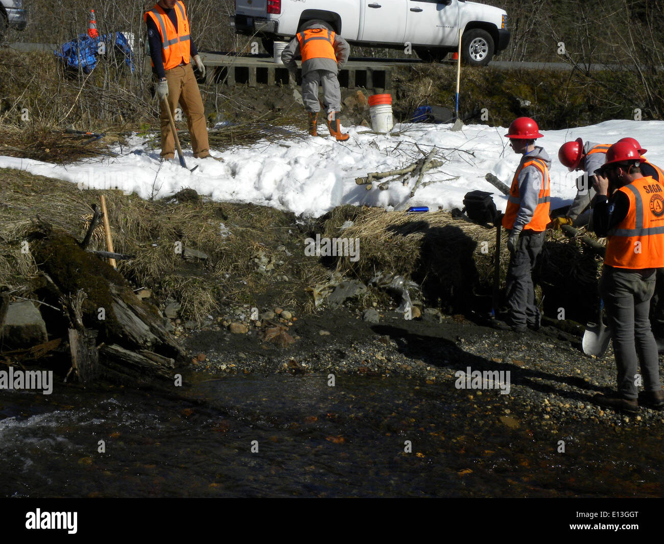 This image shows the before condition of a sod-mat bank restoration ...