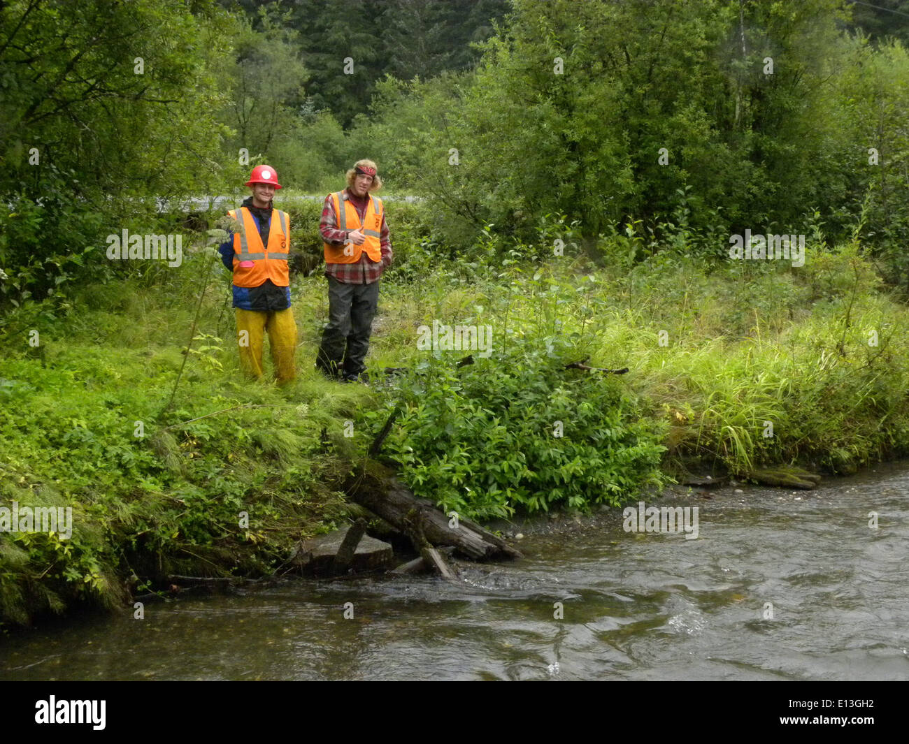 Bank Restoration Project High Resolution Stock Photography and Images ...