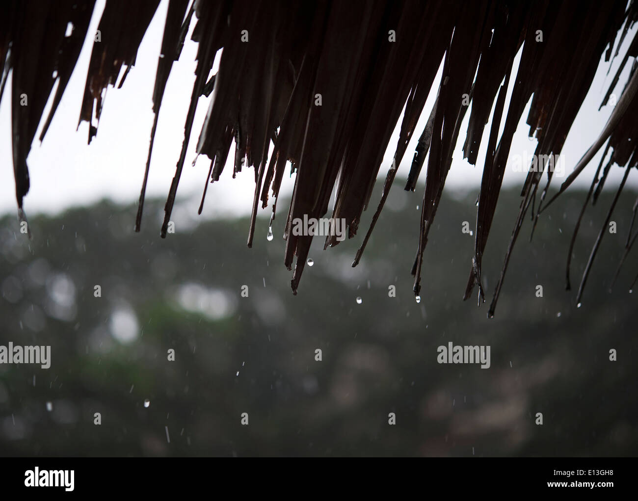 Monsoon rain on Batu Feringgi Beach, Penang Island, Malaysia, South ...