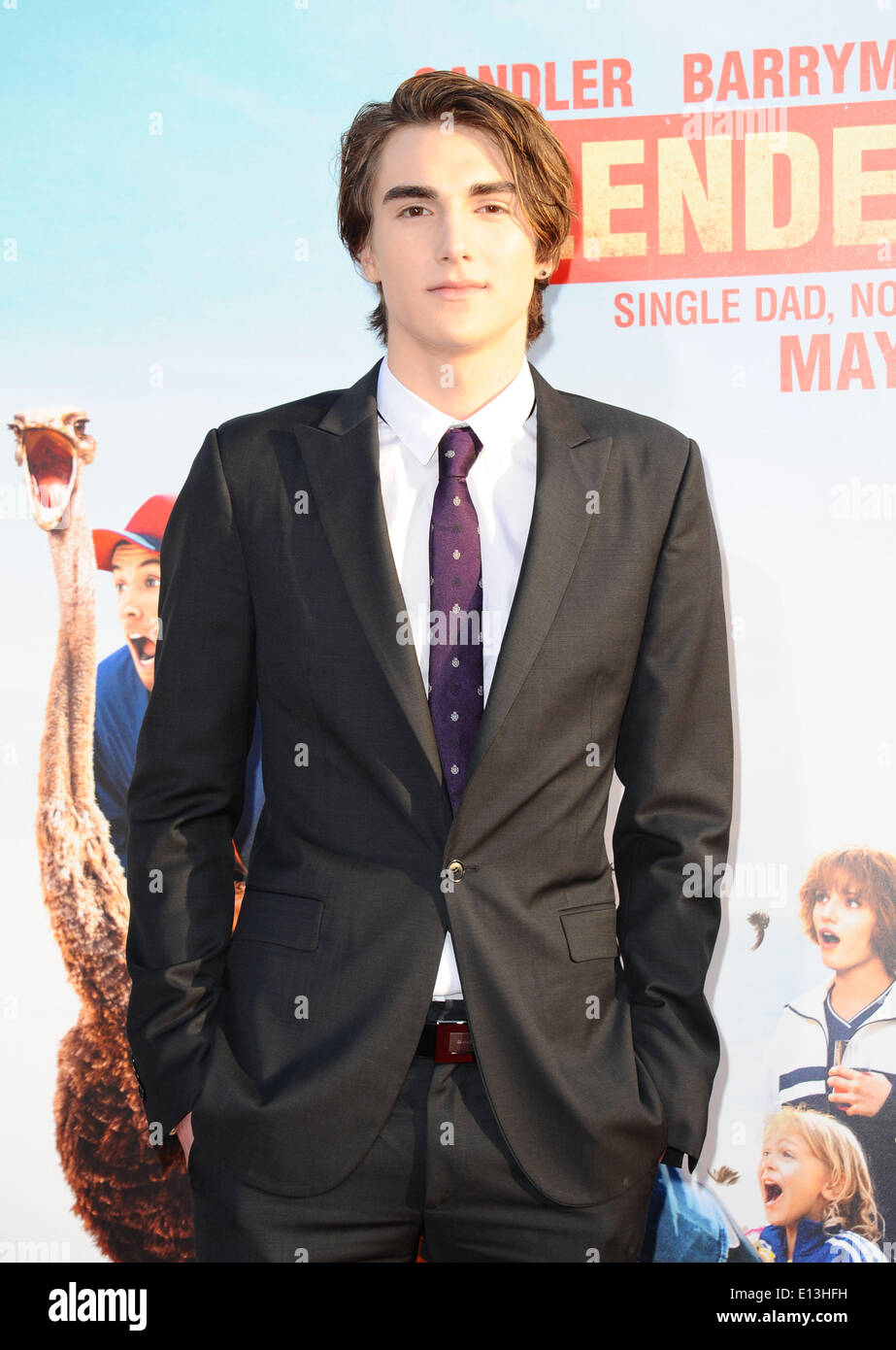 Los Angeles, California, USA. 21st May, 2014. Zak Henri attending the Los Angeles Premiere of ...