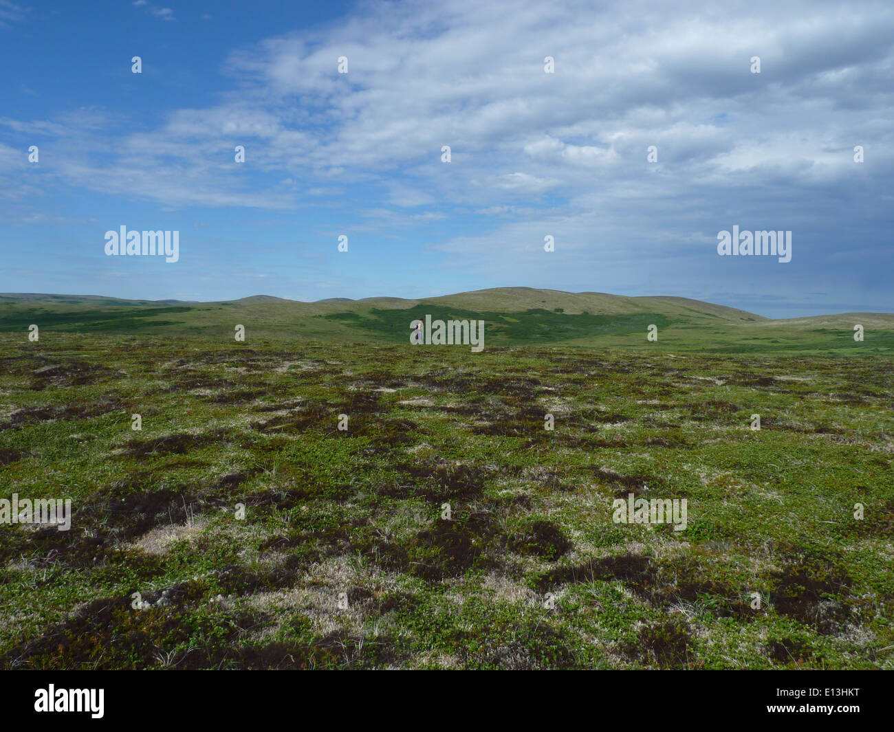 Yukon delta wildlife refuge hi-res stock photography and images - Alamy