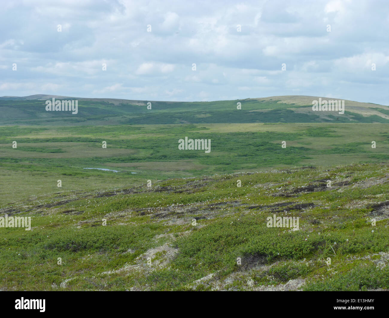 Yukon delta wildlife refuge hi-res stock photography and images - Alamy