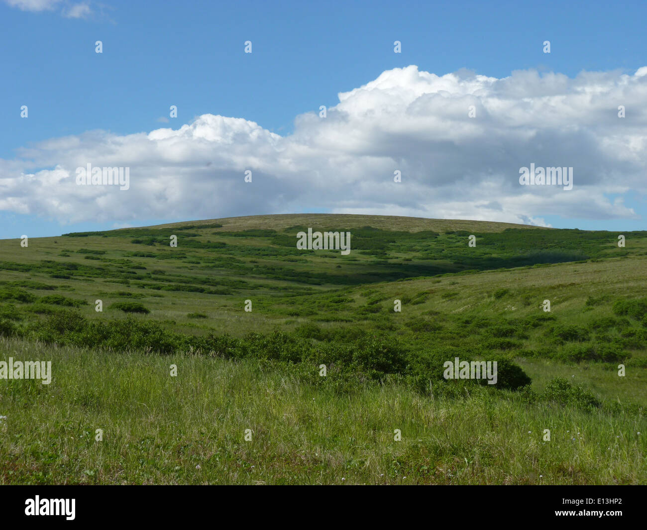 The Andreafsky Wilderness, located within the Yukon Delta National ...