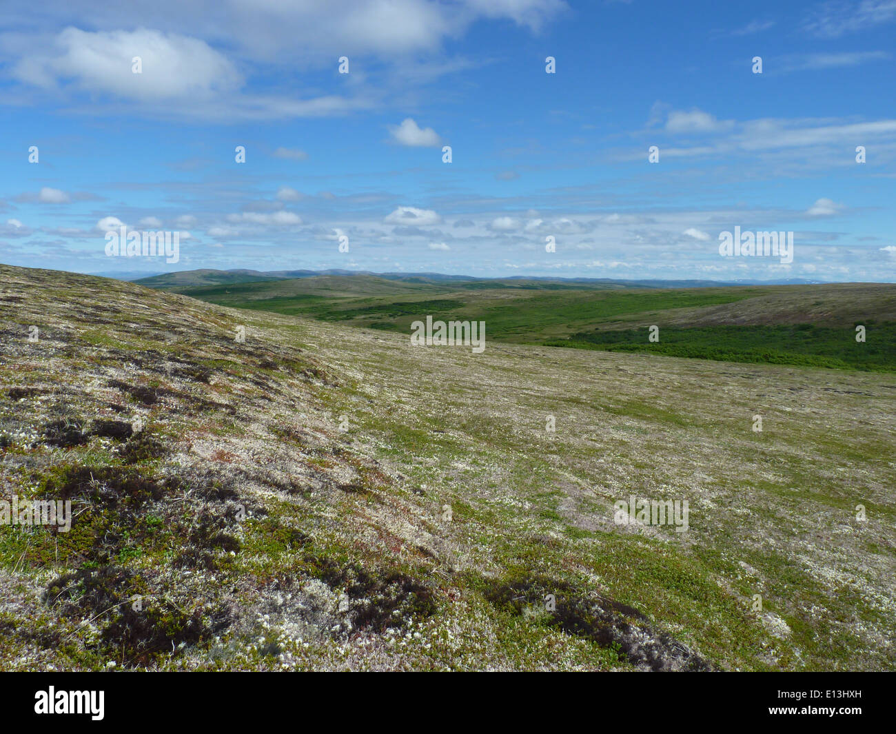 Yukon delta national wildlife hi-res stock photography and images - Alamy