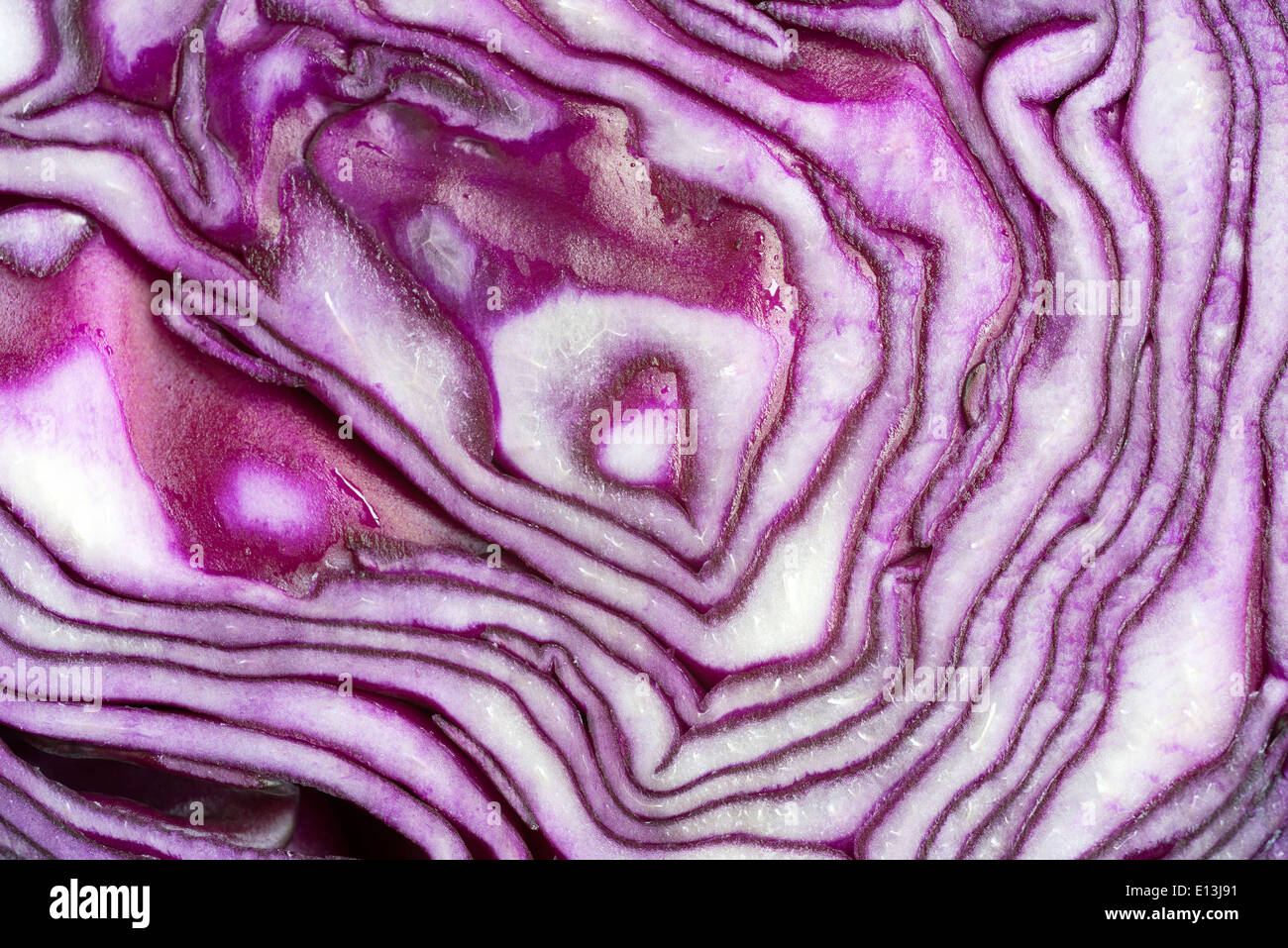 abstract closeup of red cabbage cross-section Stock Photo - Alamy