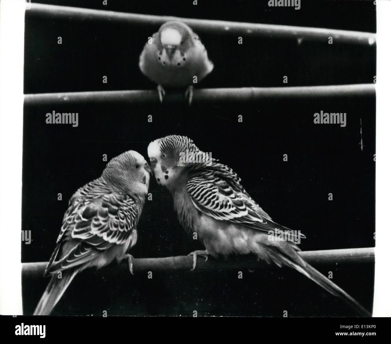 Eternal love triangle hi-res stock photography and images - Alamy