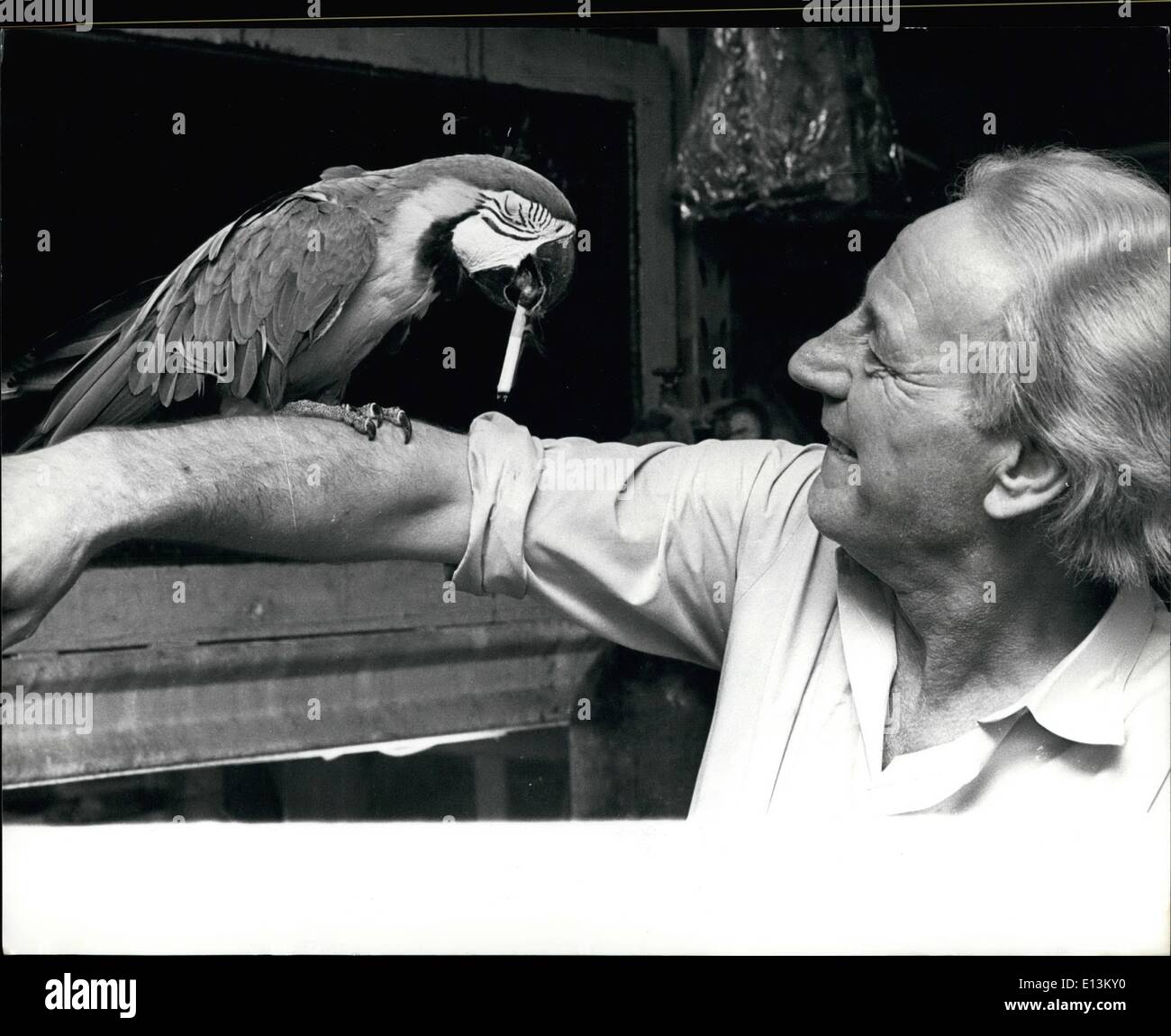 Parch hi-res stock photography and images - Alamy