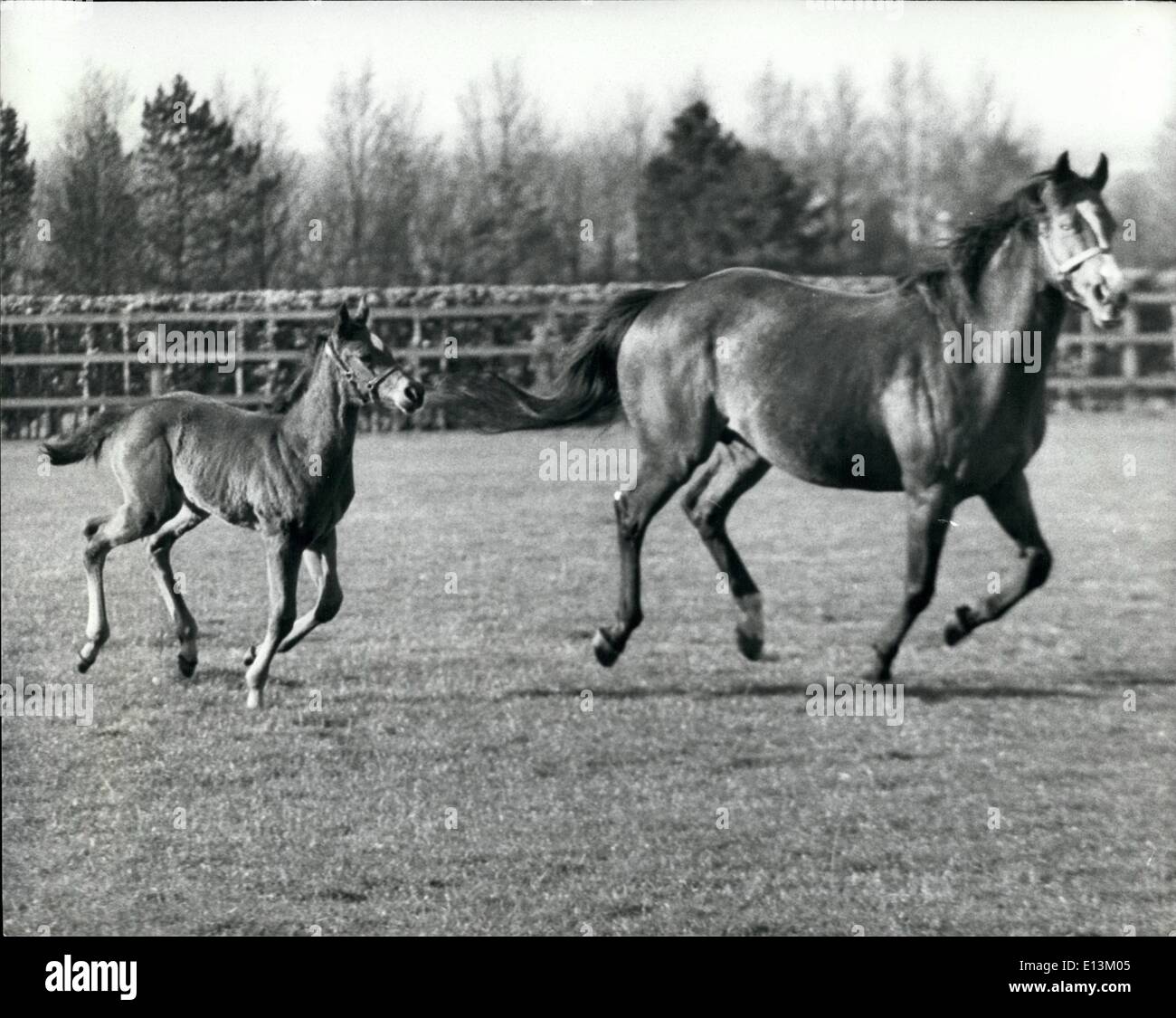 Colt lancer hi-res stock photography and images - Alamy