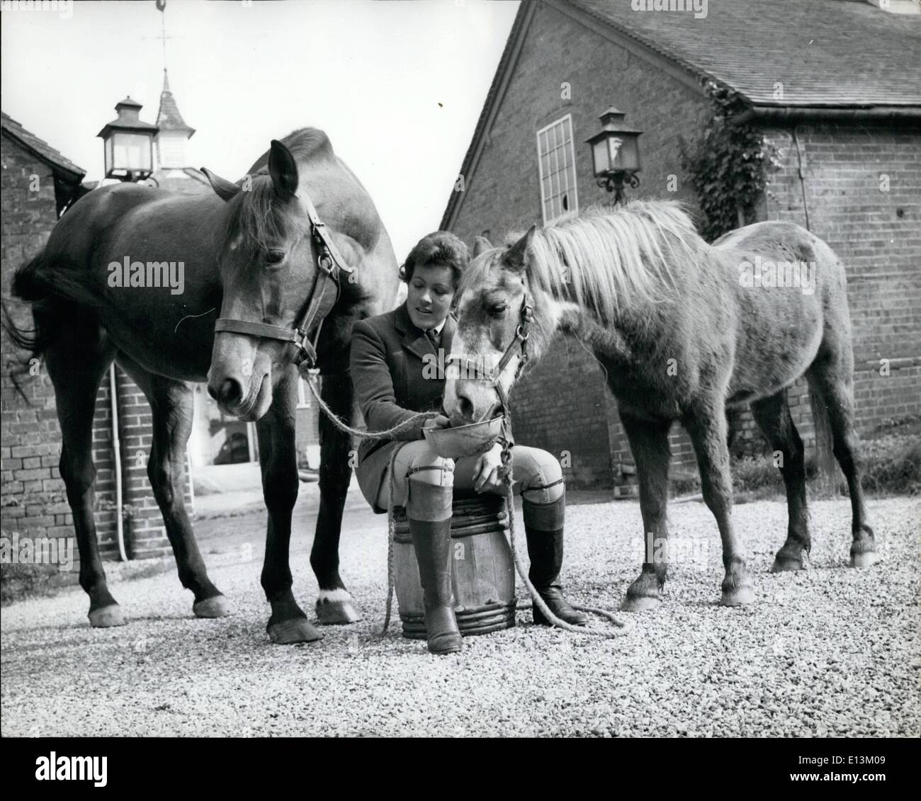 Pat moss keeps her two old faithfuls hi-res stock photography and ...