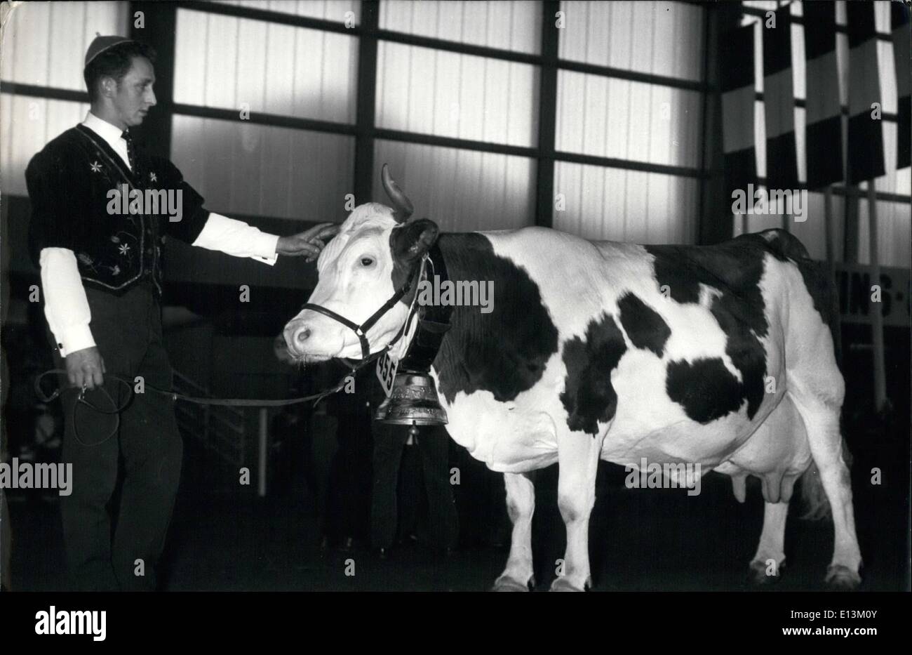 Mar. 02, 2012 - Agricultural show: Prized cow: Photo shows The prized ...