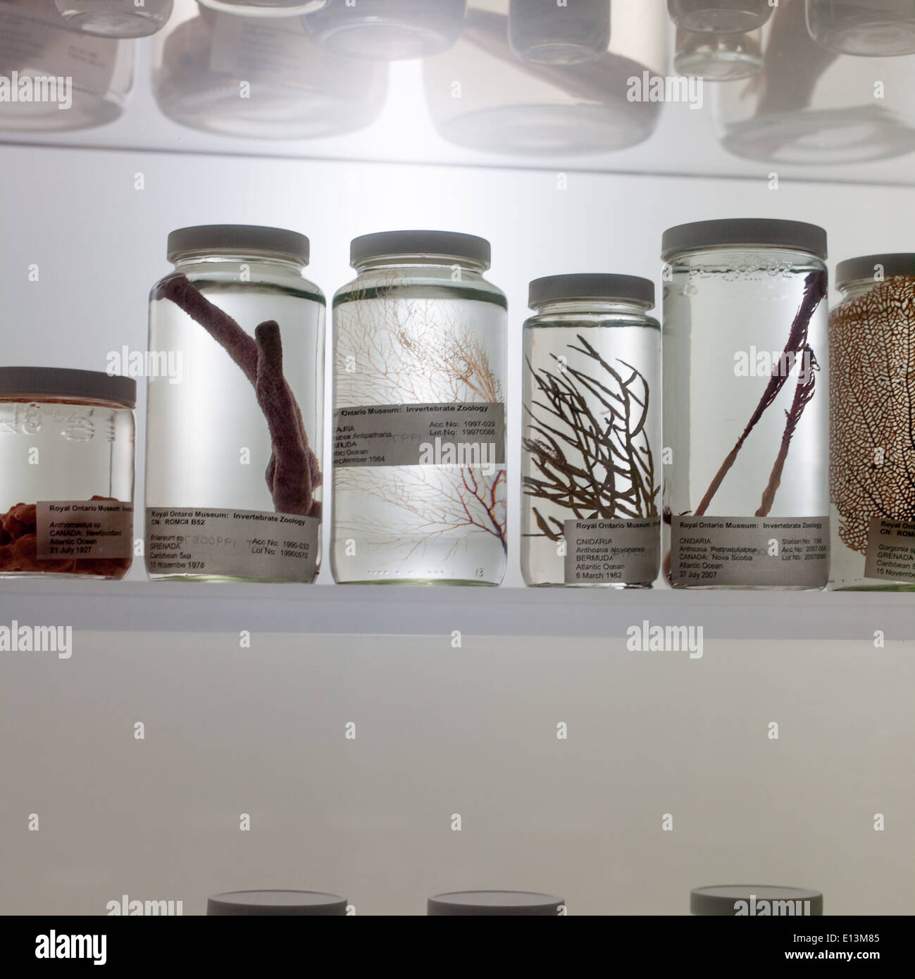 Arrangement assortment display tourism hi-res stock photography and ...