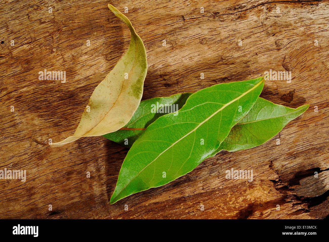 Bay leaves background hi-res stock photography and images - Alamy