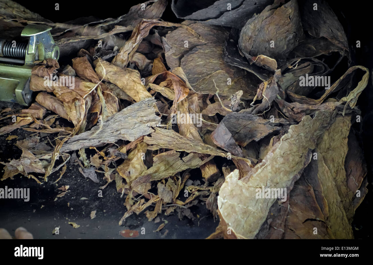 Cigar factory, Mexico City, Mexico Stock Photo - Alamy