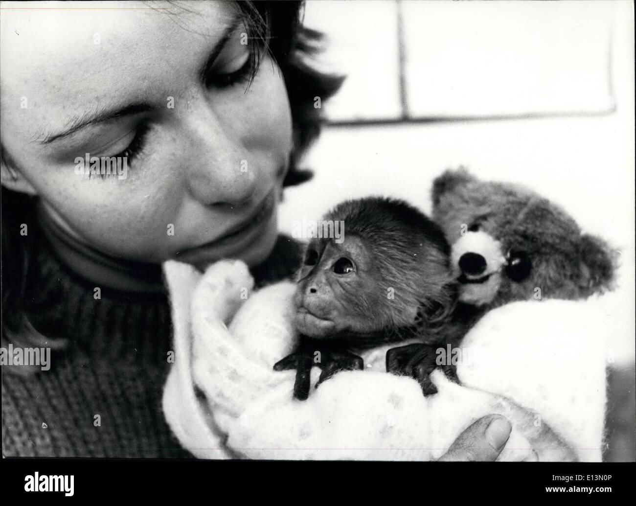 Mar. 02, 2012 - Monkey Business This tiny baby monkey rejected by its ...