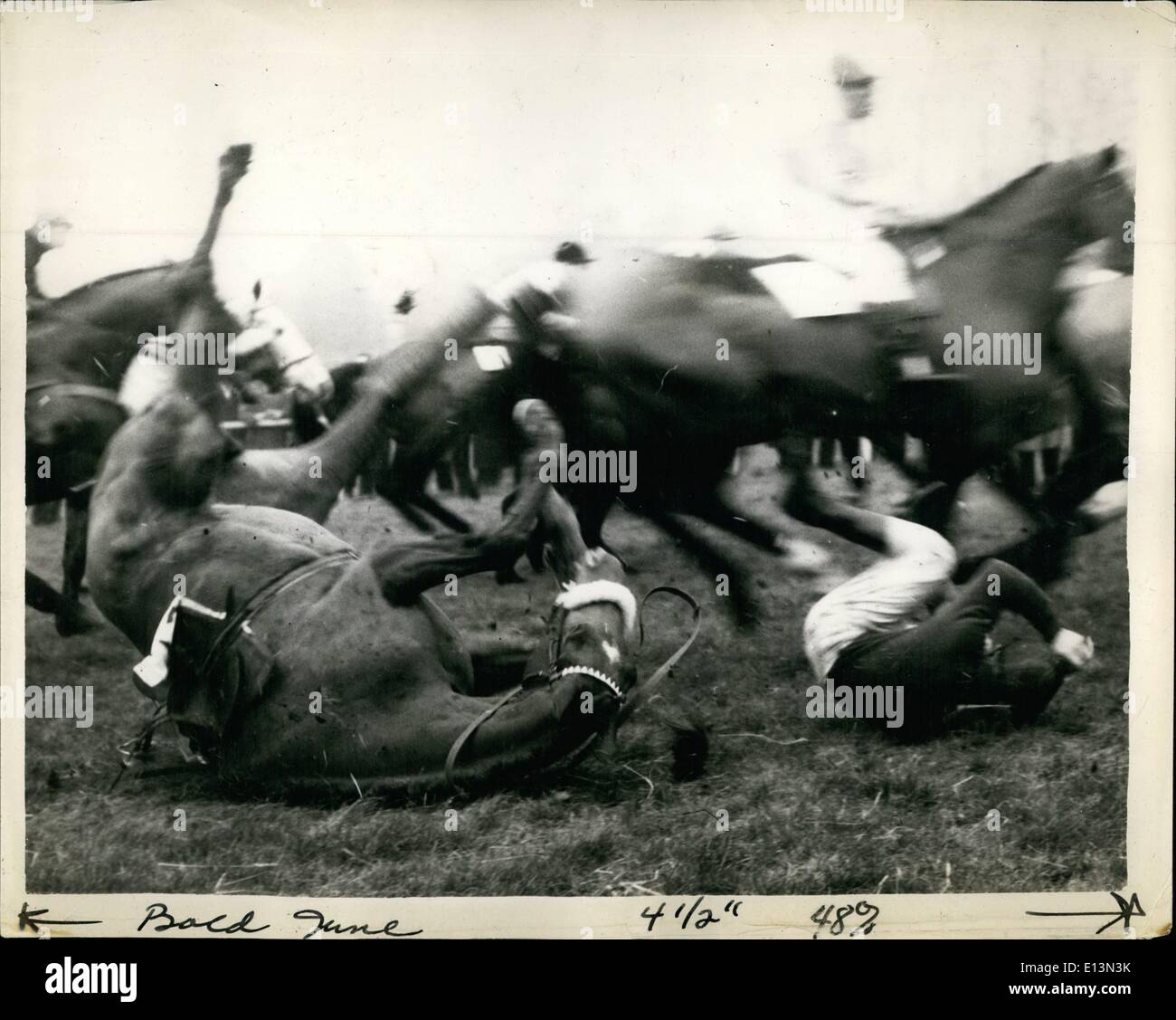 Horse falls hi-res stock photography and images - Alamy