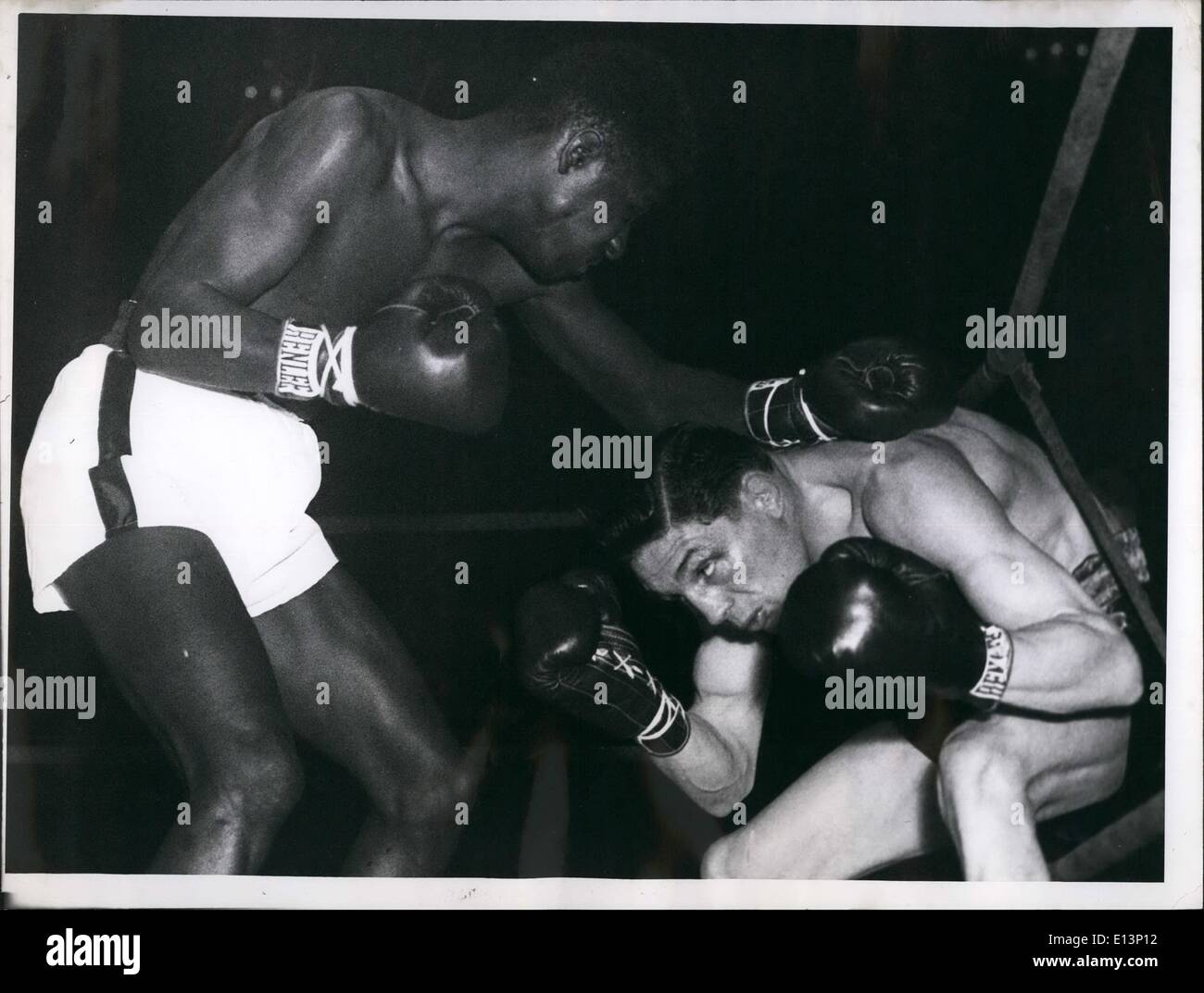 Bassett hi-res stock photography and images - Alamy