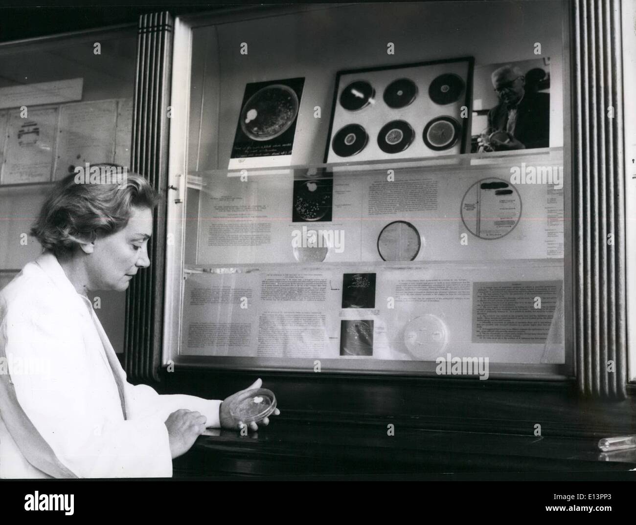 Mar. 22, 2012 - Lady Fleming Carries on - Lady Fleming is arreaving and ...