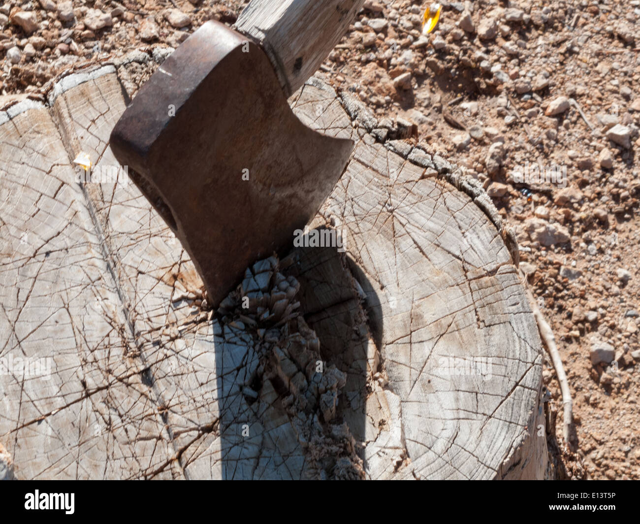 Toolaxe hi-res stock photography and images - Alamy