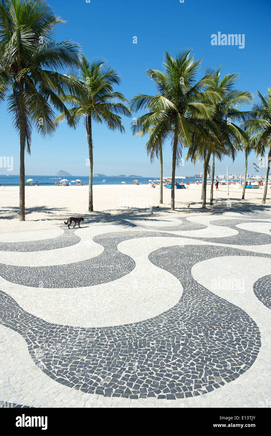 Iconic sidewalk tile pattern with palm trees at Copacabana Beach Rio de ...