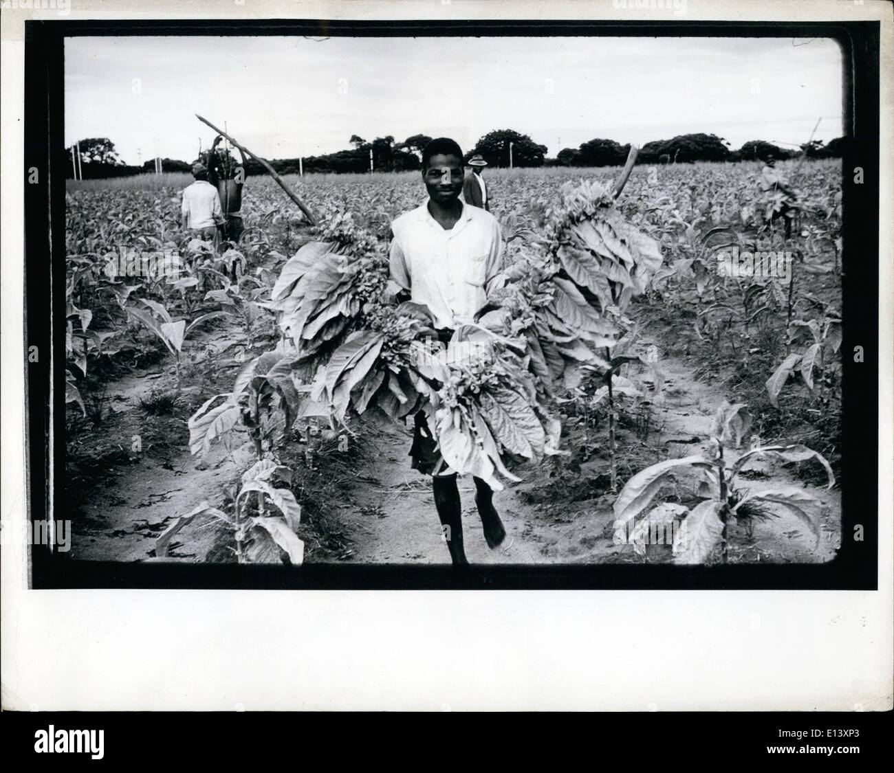 Rhodesia hi-res stock photography and images - Alamy